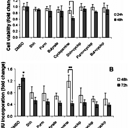 Survival and proliferative activity of HT-29 cells upon exposure to ...