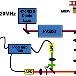 Diagram illustrating the principal components of the fluorescence ...