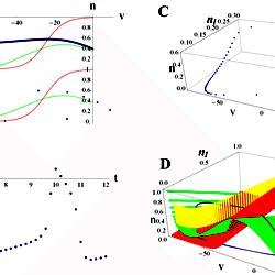 Trajectories for a 2d versus 3d saddle node on invariant circle (SNIC ...