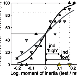 Psychometric function.