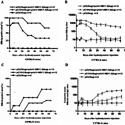 The HCV core reduced HBsAg levels and promoted the HBsAb antibody ...