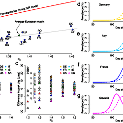 Country-specific matrices and European average.