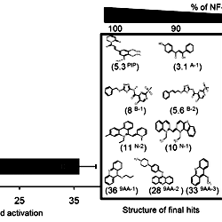 Classification of the bivalent molecules identified by HTS.