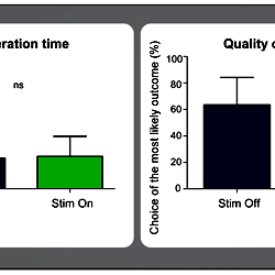 Summary of results on the Cambridge Gamble Task (CGT).