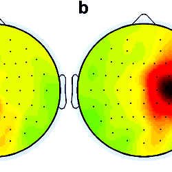 Color-coded maps for the EEG/EEG correlations.