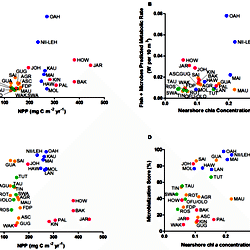 Measures of energy use versus metrics of primary production.