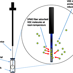 Experimental Design of VOC detection by GC-MS.