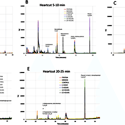 Overview of VOC characterization.