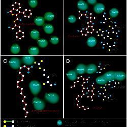 Ligplot diagrams illustrating protein-ligand interactions.