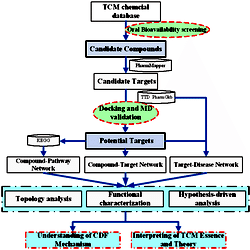 Flowchart of the model building.