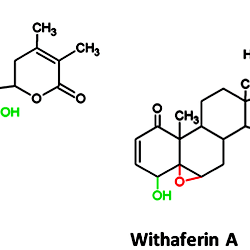 Chemical structures of withanone and withaferin A.