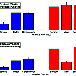 Summary of algorithm performance.