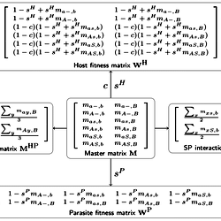 The relationship between the master matrix and the four auxiliary matrices.