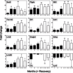Time course experiment: transcript changes.