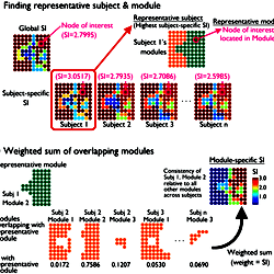 A schematic of module-specific SI calculation.