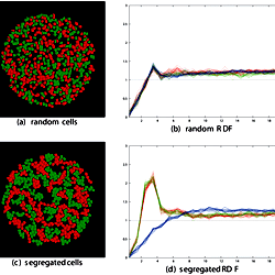Example simulations and their RDF plots.