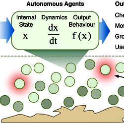 Schematic of a BSim model.