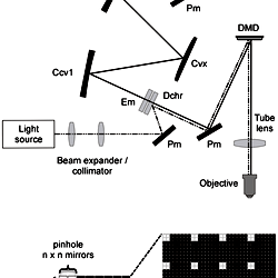Schematic diagrams of the DMD confocal optical pathway and the mirror ...