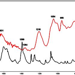 FT-IR spectral profile of the protamine-salmon DNA complex compared to ...