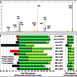 M-TRFLP profile and analysis of pre-amplification DNA template mixes.