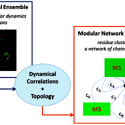 Schematic representation of the MOdular NETwork Analysis (MONETA ...
