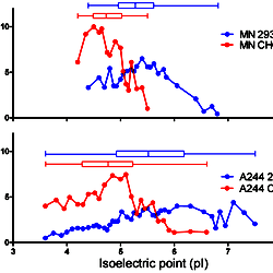 Densitometric scan of MN- and A244-rgp120s resolved by isoelectric ...