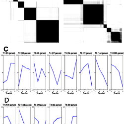 Analysis of temporal profile.