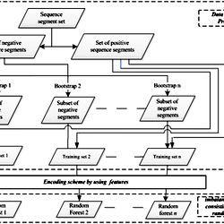 The model based on data bootstrap for the imbalanced dataset.