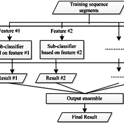 The general schematic diagram of the ensemble model.