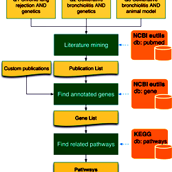 Pathway selection process.