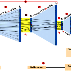 Overview of the simulated NG-SAM protocol.