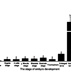 Item - Temporal expression of the CfC1qDC transcripts in the different ...