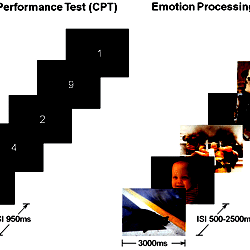 Schematic diagrams of the fMRI experimental tasks.