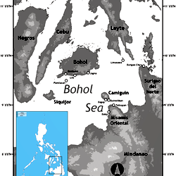 Map showing study sites: Jagna, Lila, Pamilacan, Camiguin and Limasawa.