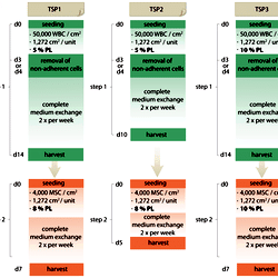 Schematic summary of the GMP-compliant single-step and two-step ...