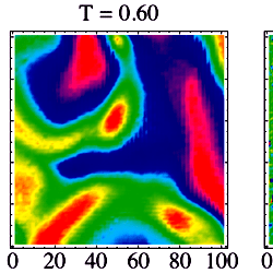 Characteristic textures of a lyotropic liquid crystal at different ...
