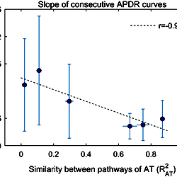 Influence of the pathway of activation on the APD restitution slope.