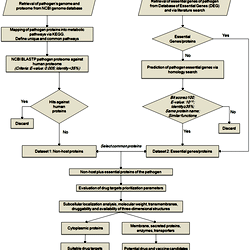 Comparative genomics workflow.