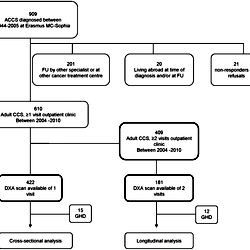Flowchart of included survivors.