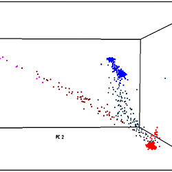 Three-dimensional plot of first three principal components (PC1, PC2 ...