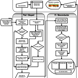 Simplified flowchart of the ESSENTIALS procedure.
