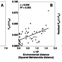 Isolation-by-distance and Isolation by environmental distance.