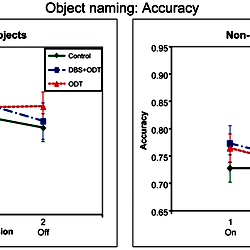 Accuracy for the Object Naming task.