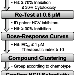 Outline of primary screen, re-test and hit triage strategy.