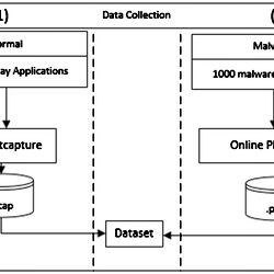 Data collection phase.