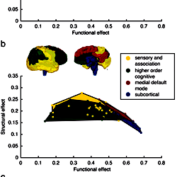 Structure-function landscape.