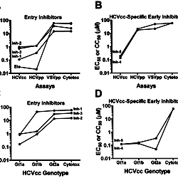 Early/Entry Inhibitors.