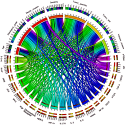 The circos plot depicts the relationship between the different ...