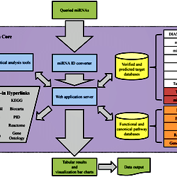 An overview of miRSystem.
