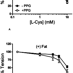 L-cysteine dose response curves of mouse aortic rings without ...